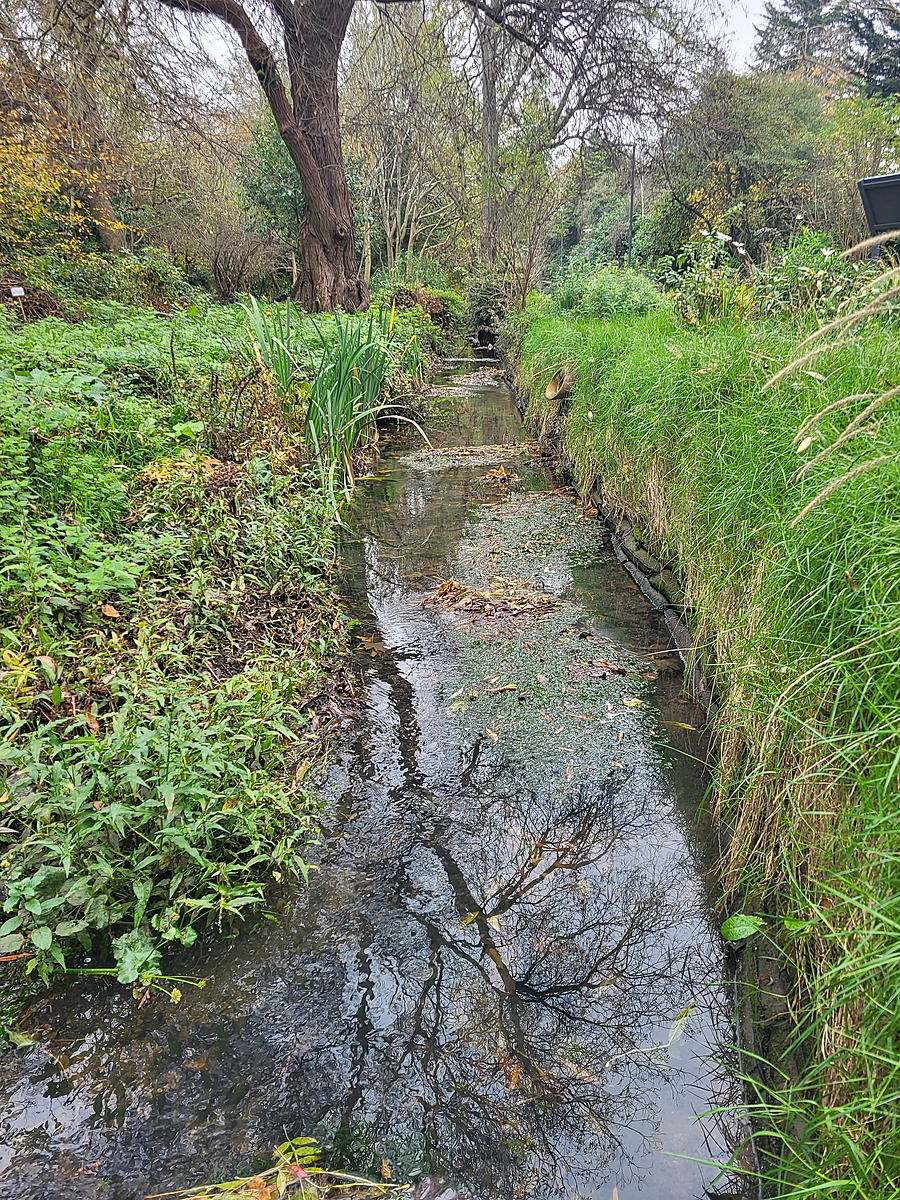 Water Quality Testing Data for Yeading Walk, Yeading Brook - Water Rangers