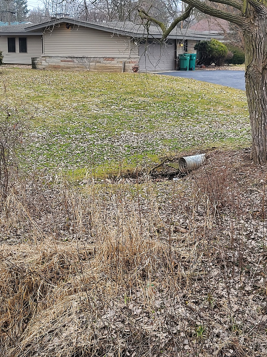 Water Quality Testing Data for Sugar Run Creek, Sugar Run - Water Rangers