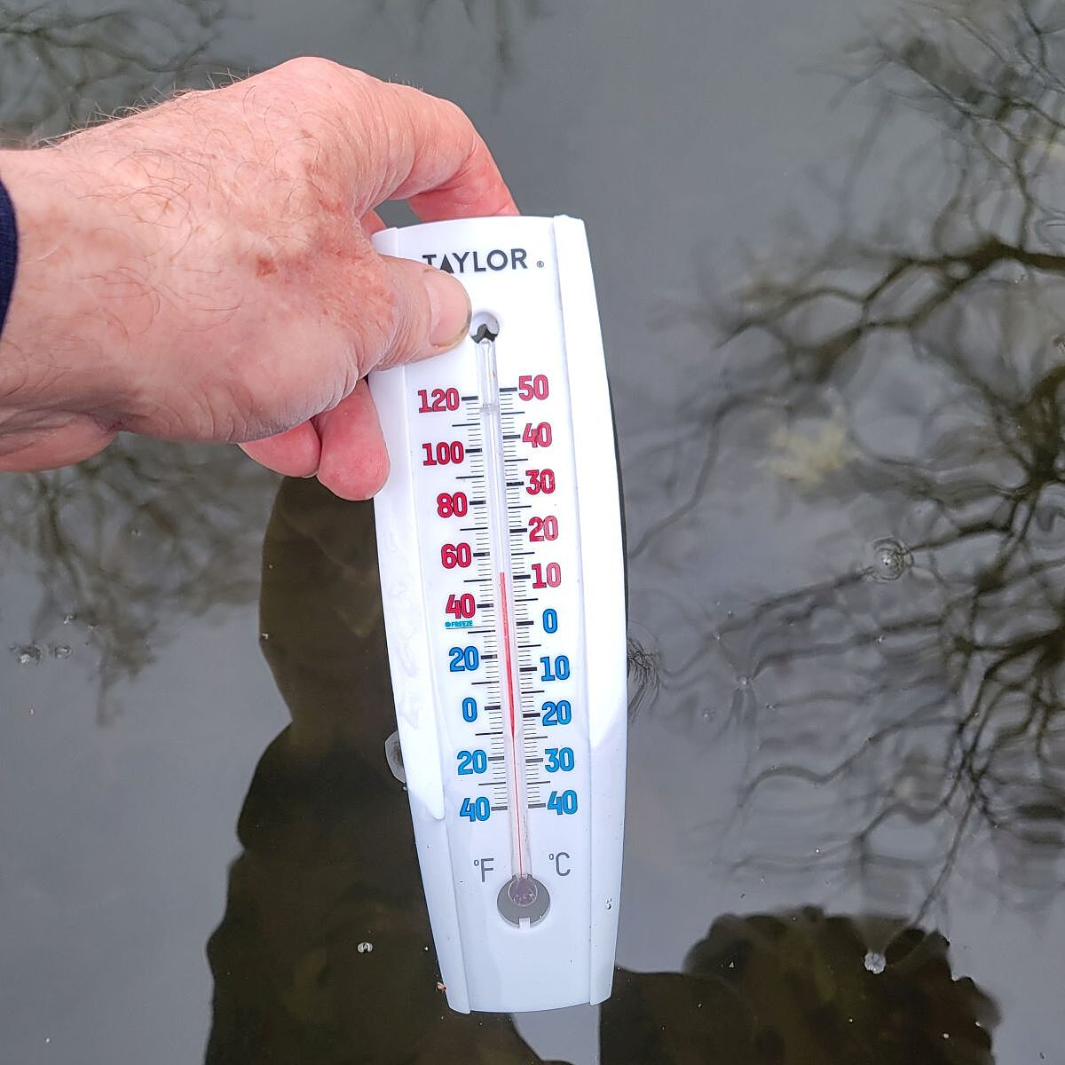 Water Quality Testing Data for Lake Killarney to Silver Lake Creek ...