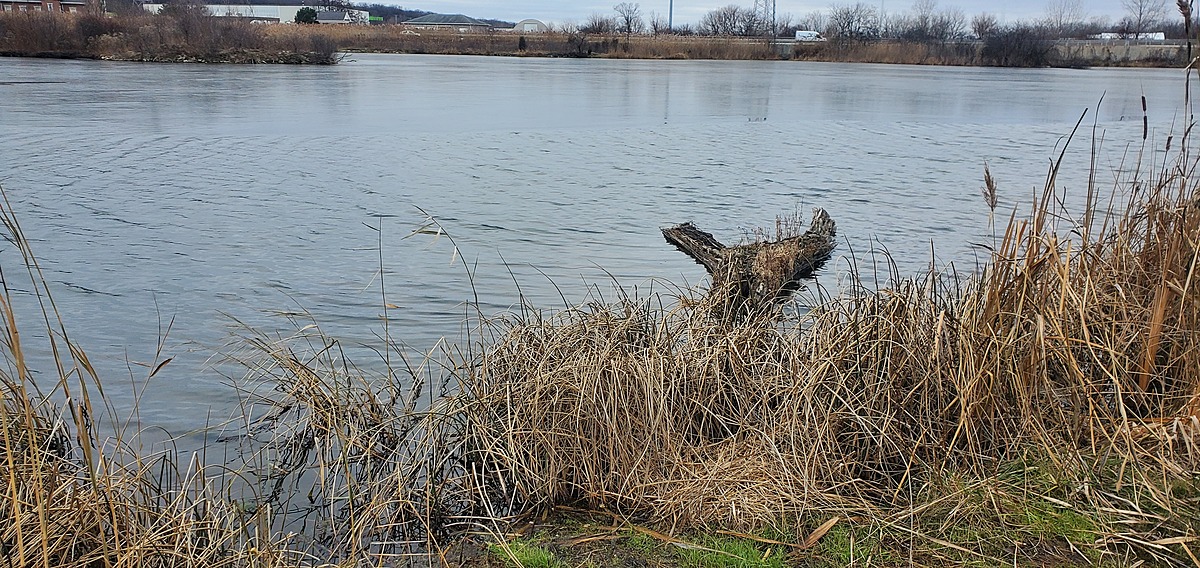 Water Quality Testing Data for Sag Quarry- West, Sag Quarry- West ...