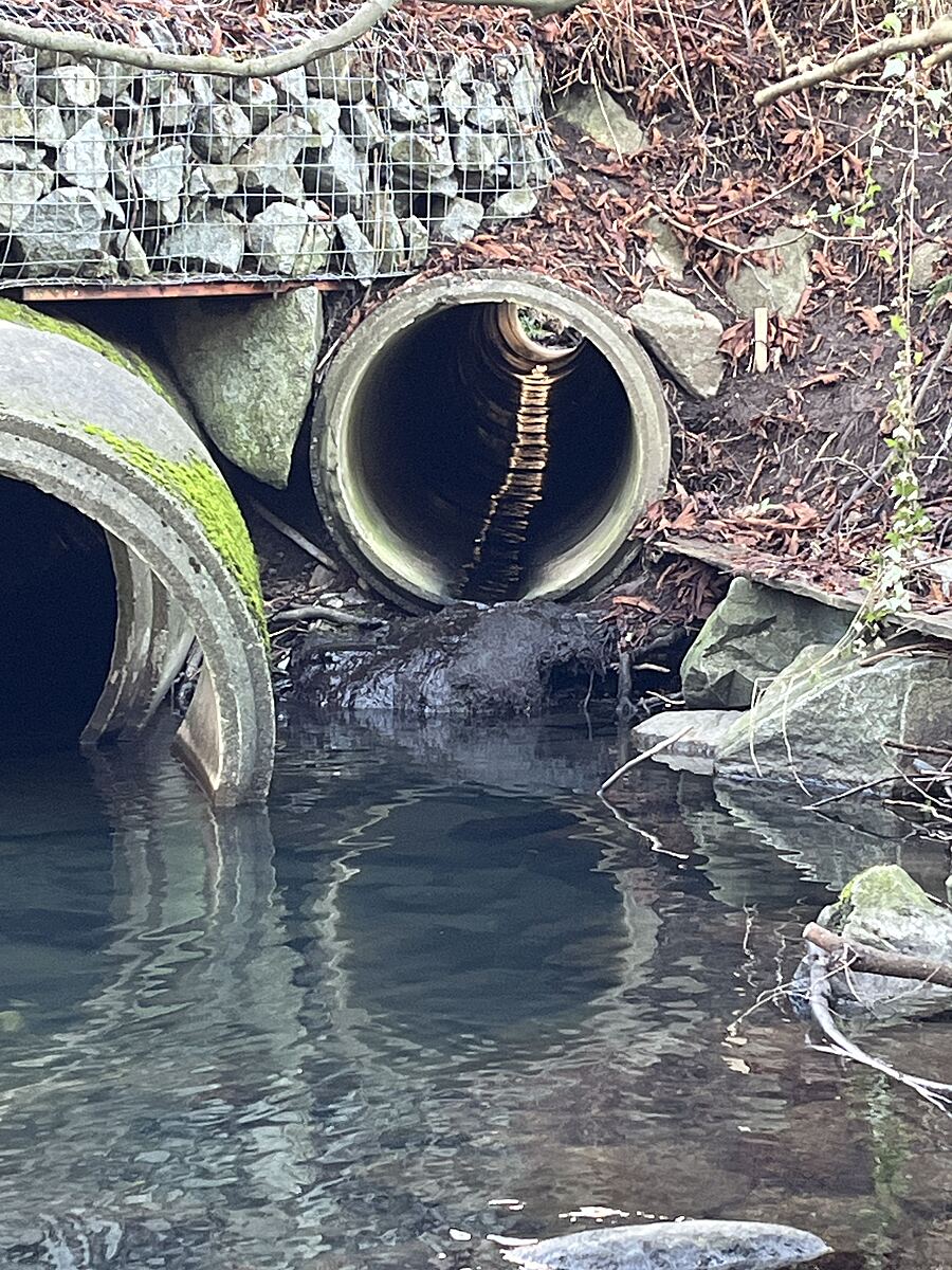 Water Quality Testing Data for WAG-E-05, 19th St. Storm Drain - WAG-E ...