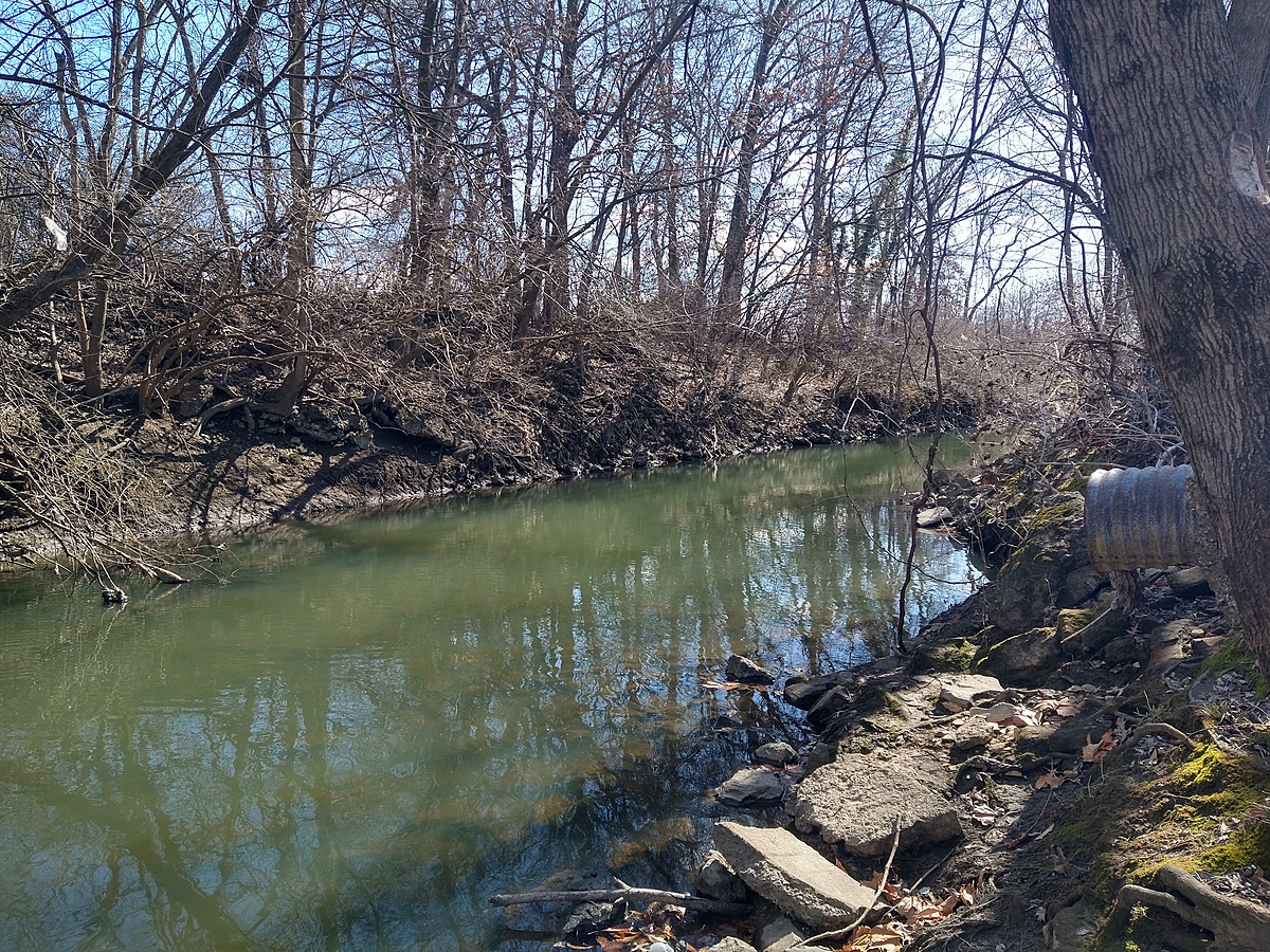 Water Quality Testing Data for Richland Creek @ South Side City Park ...