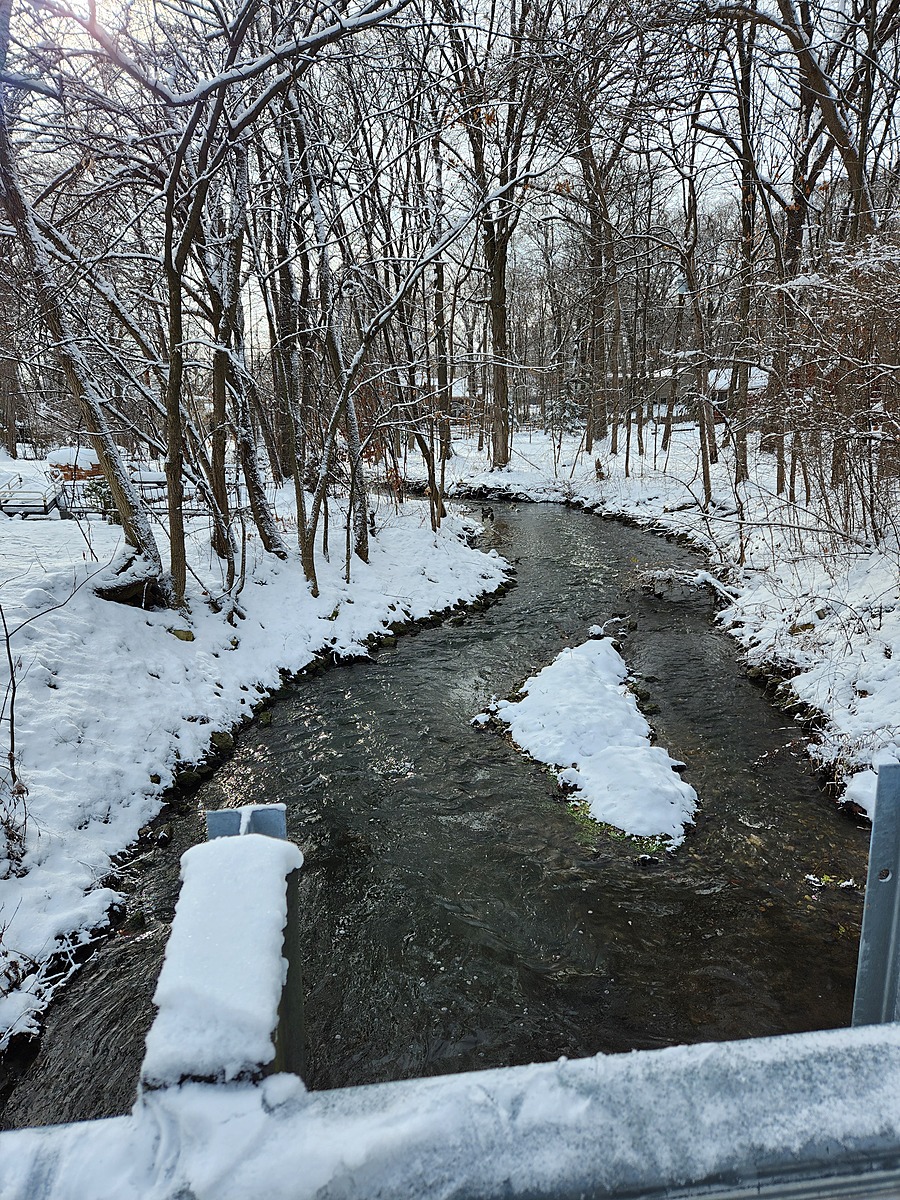 Water Quality Testing Data for Spring Brook Creek - N of Meacham Grove ...