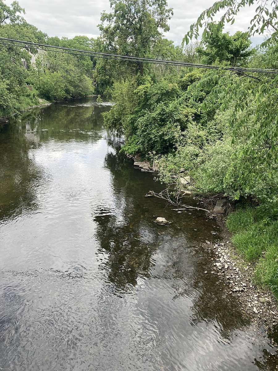 Water Quality Testing Data for West Branch of the DuPage River, DuPage ...