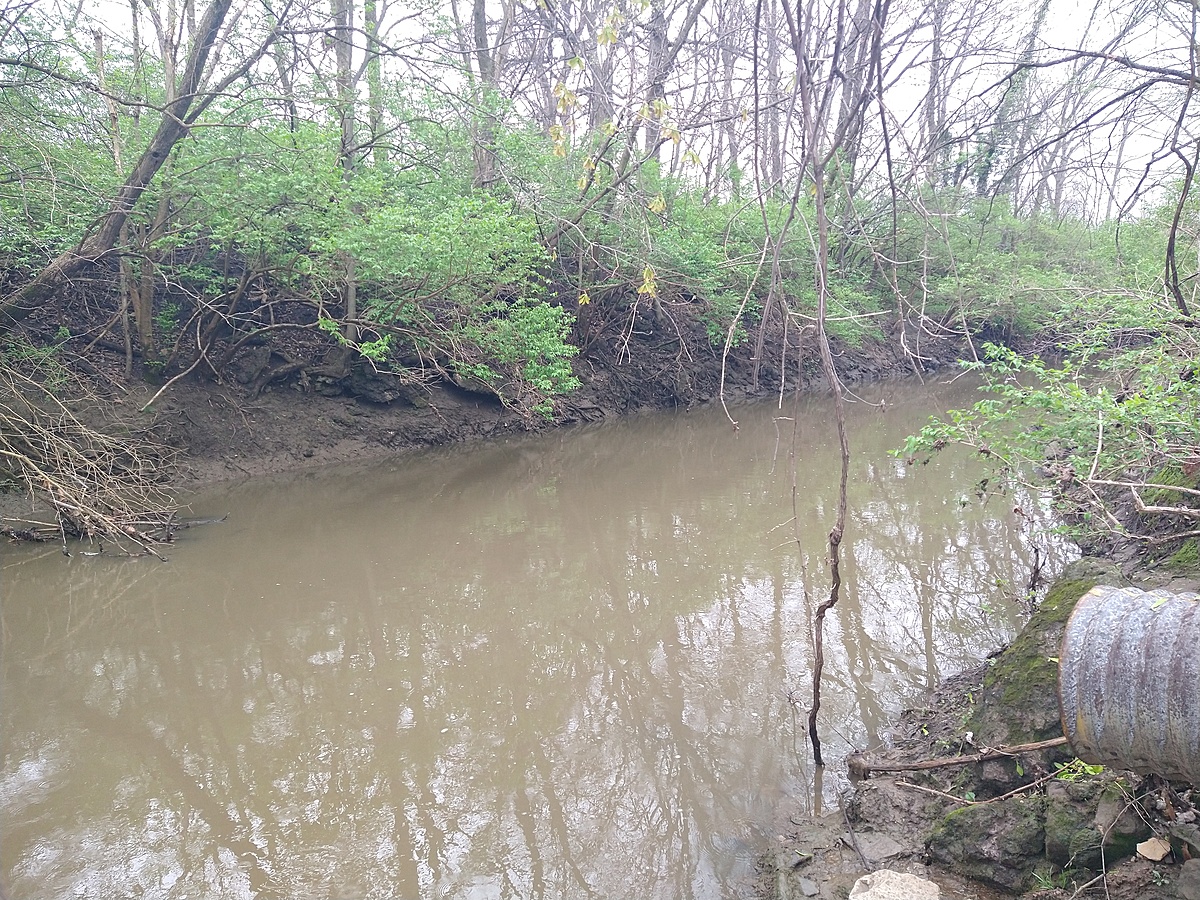 Water Quality Testing Data for Richland Creek @ South Side City Park ...