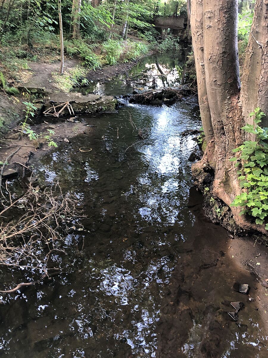 Water Quality Testing Data for C1, Meanwood beck - Water Rangers