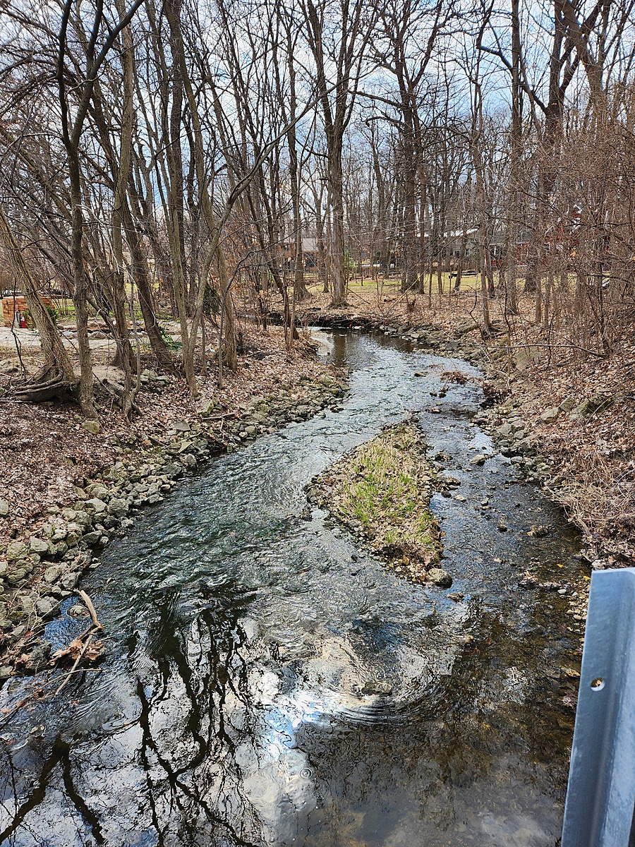 Water Quality Testing Data for Spring Brook Creek - N of Meacham Grove ...