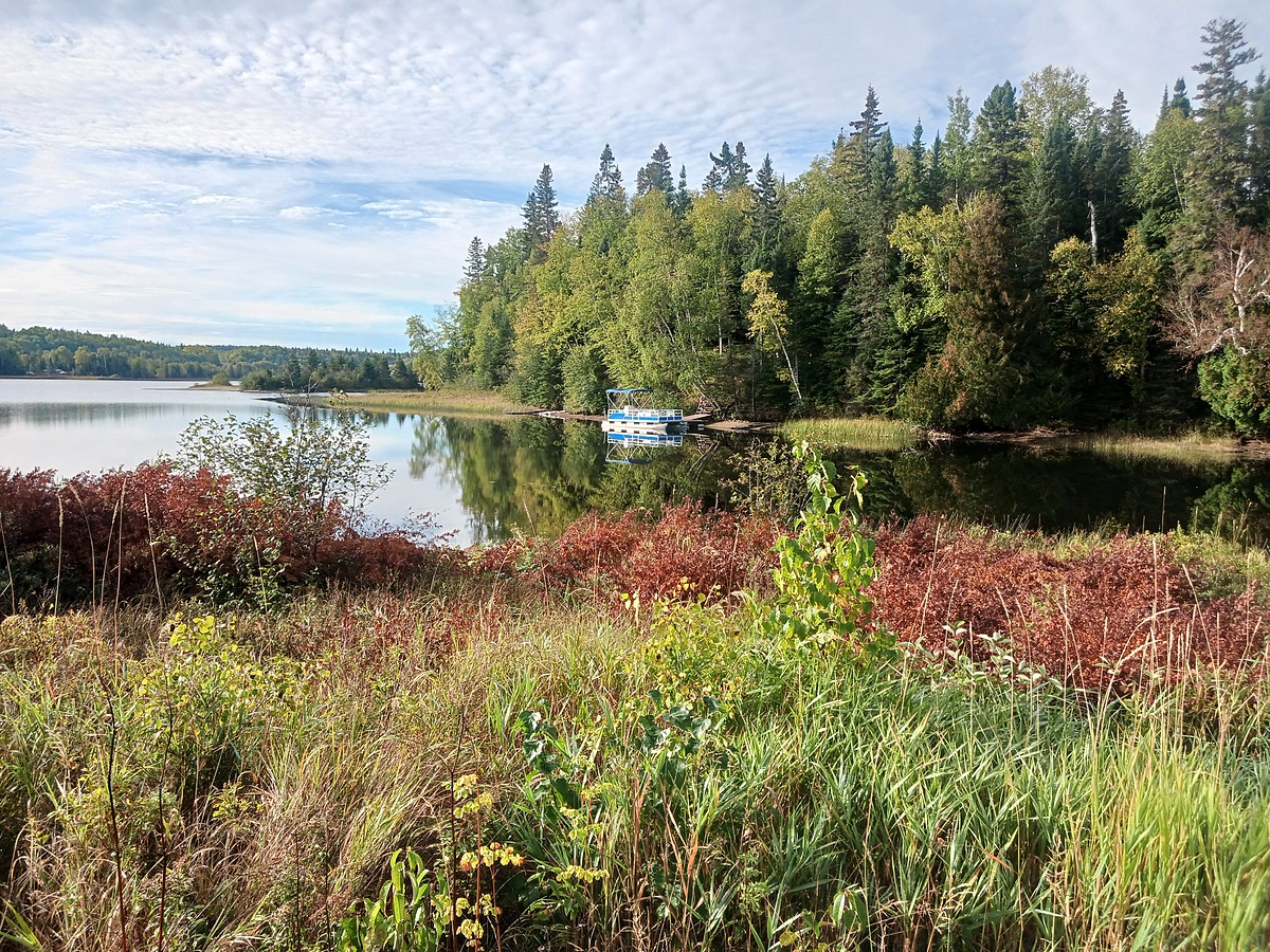 Water Quality Testing Data for Hawk Lake boat launch (HL-WM-D), Hawk ...