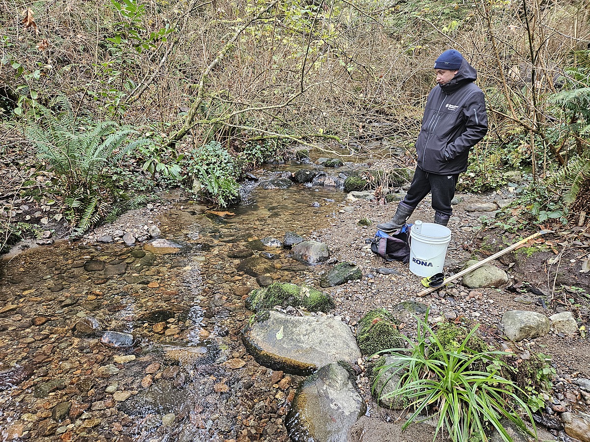 Water Quality Testing Data for MIS-M-01, Mission Creek just above ...