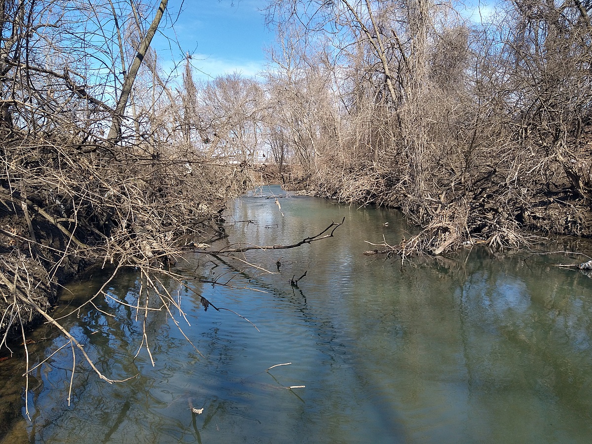 Water Quality Testing Data for Richland Creek @ South Side City Park ...