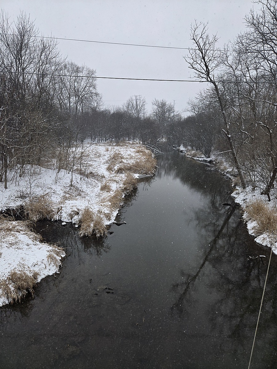 Water Quality Testing Data for East DuPage river at St. Charles, East ...