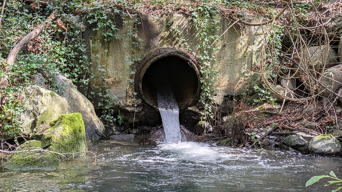 Water Quality Testing Data for 15th Street Storm drain - WAG-E-03 High ...