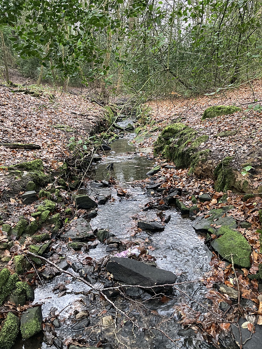 Water Quality Testing Data for Ram Beck, Ram Beck - Water Rangers