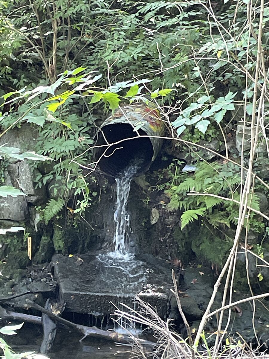 Water Quality Testing Data for Keith Rd Storm Drain - WAG-E-01 High ...