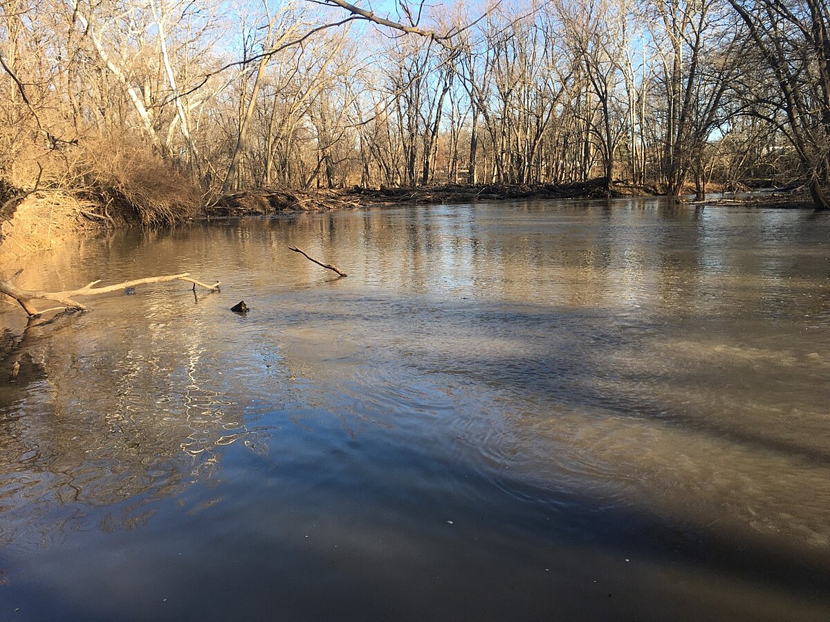 Water Quality Testing Data for River Bend Forest Preserve site ...