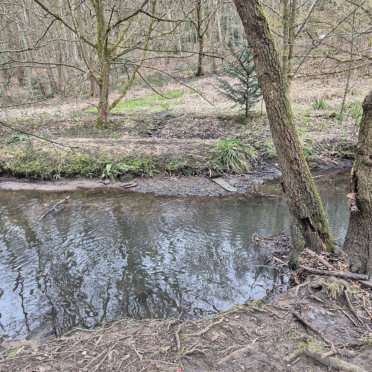 Water Quality Testing Data for A3, Meanwood Beck - Water Rangers
