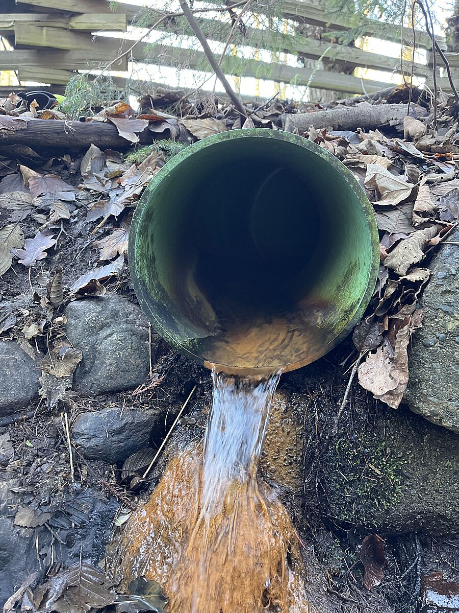Observations at Stormwater pipe discharge South of 21st St and east of ...