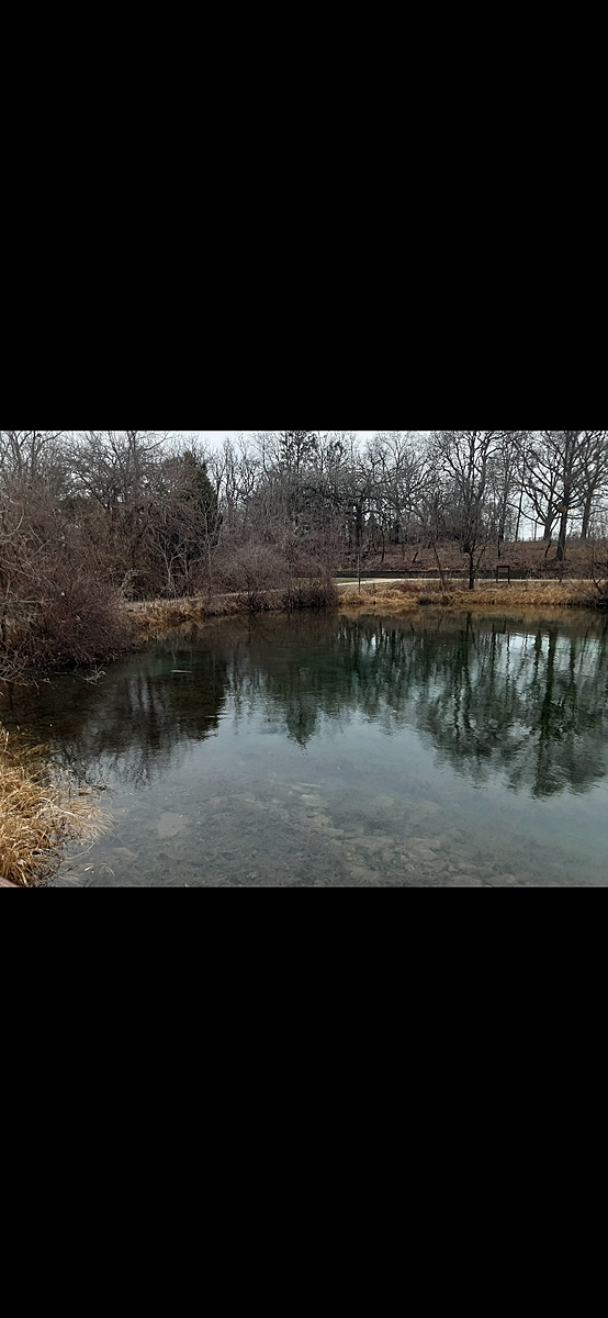 Water Quality Testing Data for DuPage River Park - Small Pond - Site 2 ...