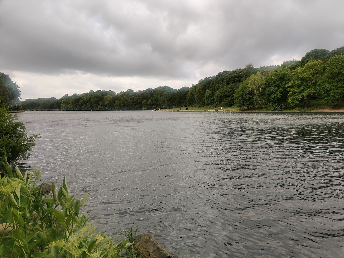 Observations at Roundhay Park : Waterloo Lake - Water Rangers