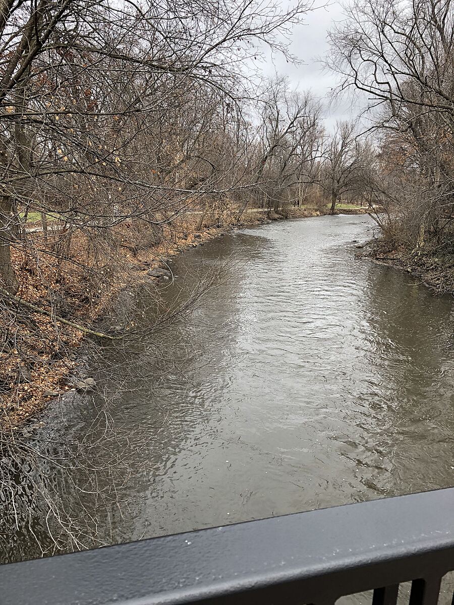 Water Quality Testing Data for West Branch DuPage River at Hillside ...