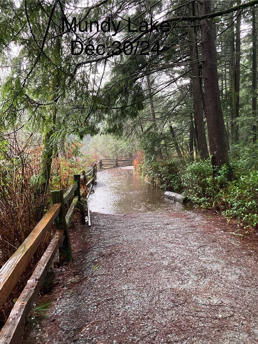 Water Quality Testing Data for Mundy Park, Mundy Lake - Water Rangers