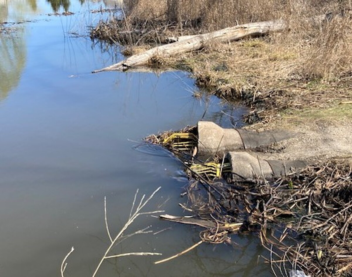 Observations at Stream - Water Rangers