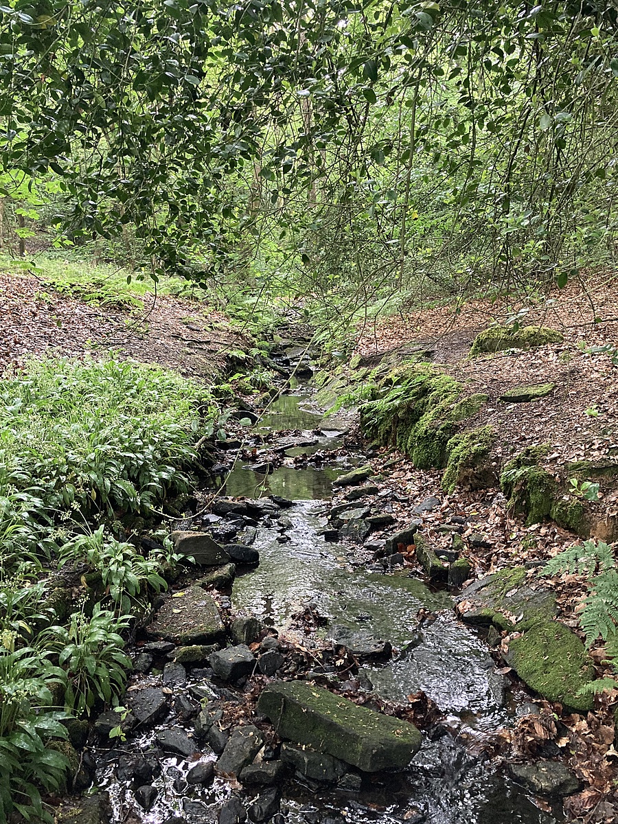 Water Quality Testing Data for Ram Beck, Ram Beck - Water Rangers