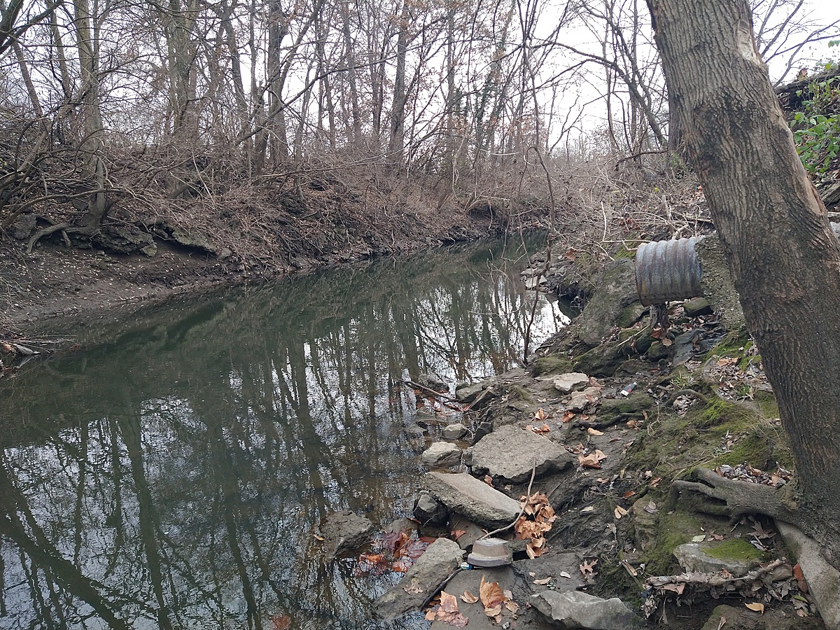 Water Quality Testing Data for Richland Creek @ South Side City Park ...