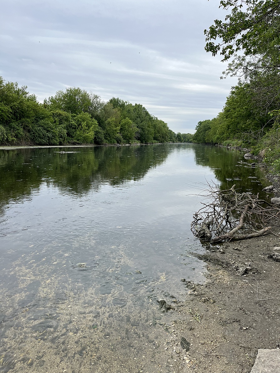 Water Quality Testing Data for West Branch DuPage River, DuPage River ...