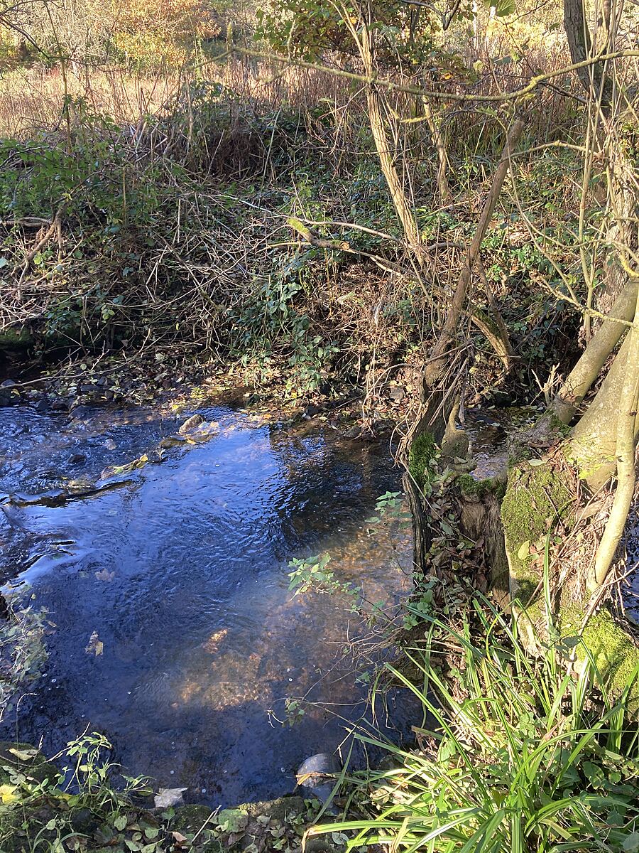 Water Quality Testing Data for A2, Meanwood Beck - Water Rangers
