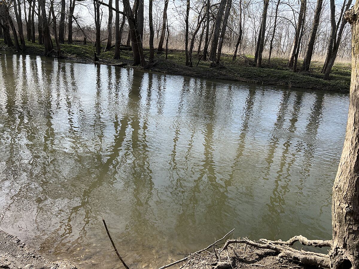 Water Quality Testing Data for Sangamon River Forest Preserve site ...