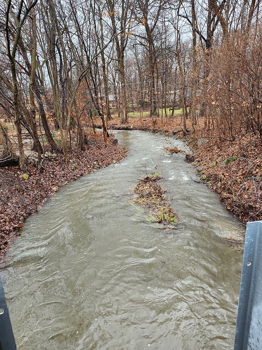 Water Quality Testing Data for Spring Brook Creek - N of Meacham Grove ...