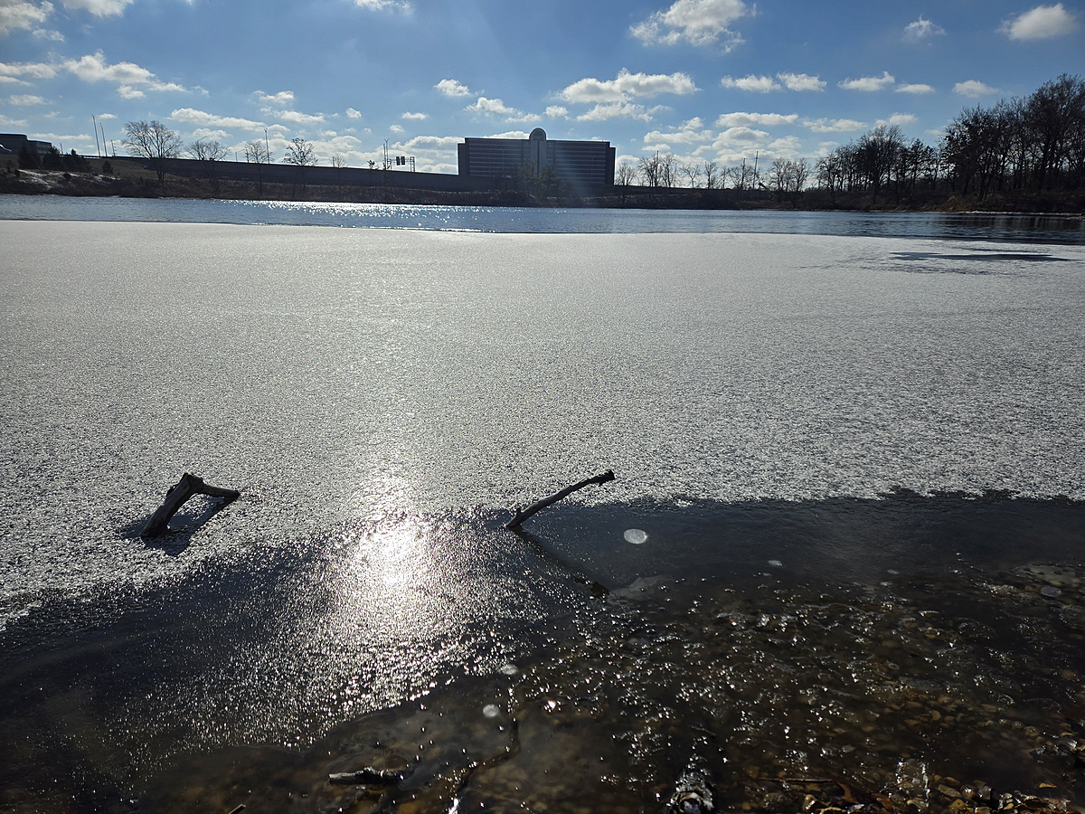 Water Quality Testing Data for Arbor Lake at Morton Arb , Arbor Lake ...