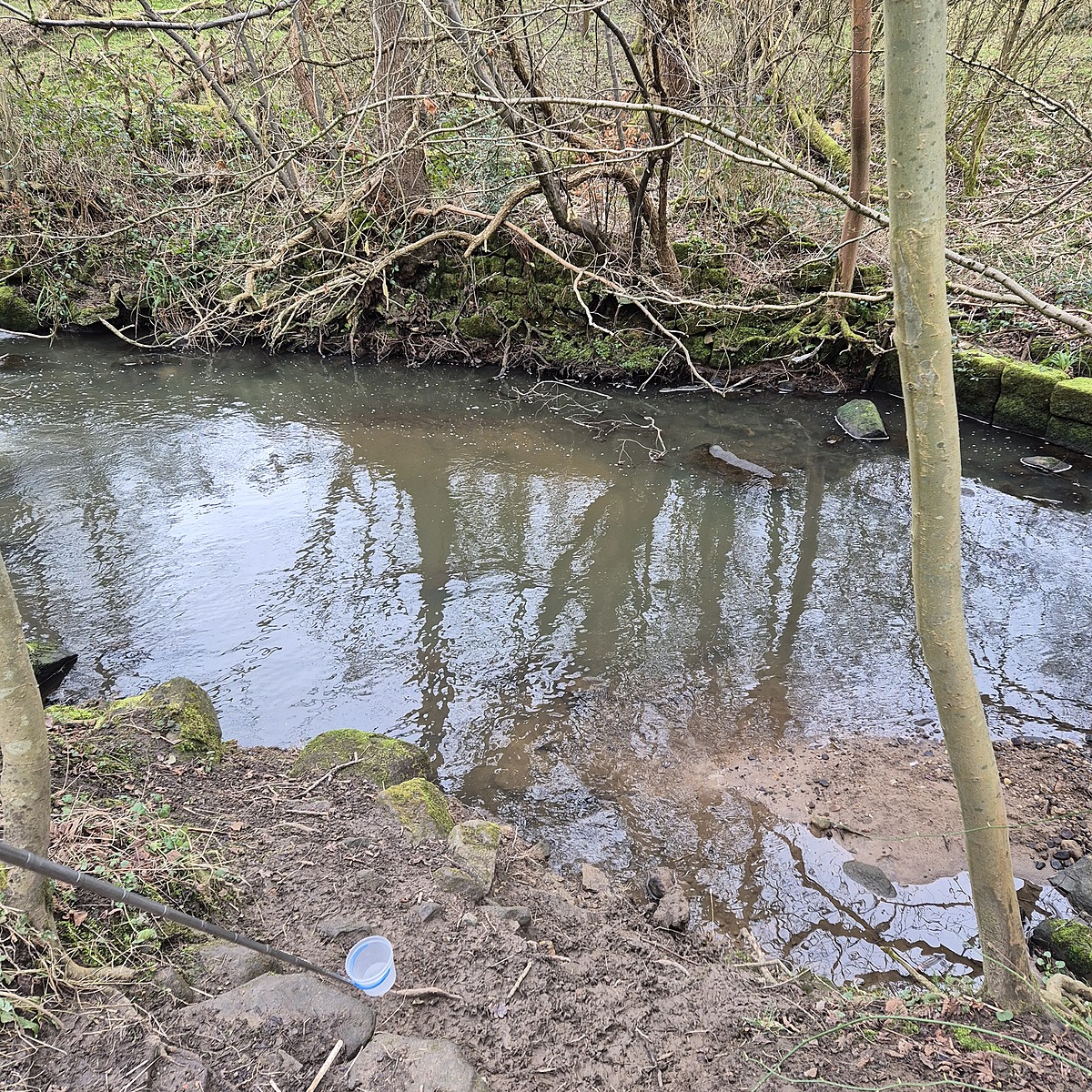 Water Quality Testing Data for A1, Meanwood Beck - Water Rangers