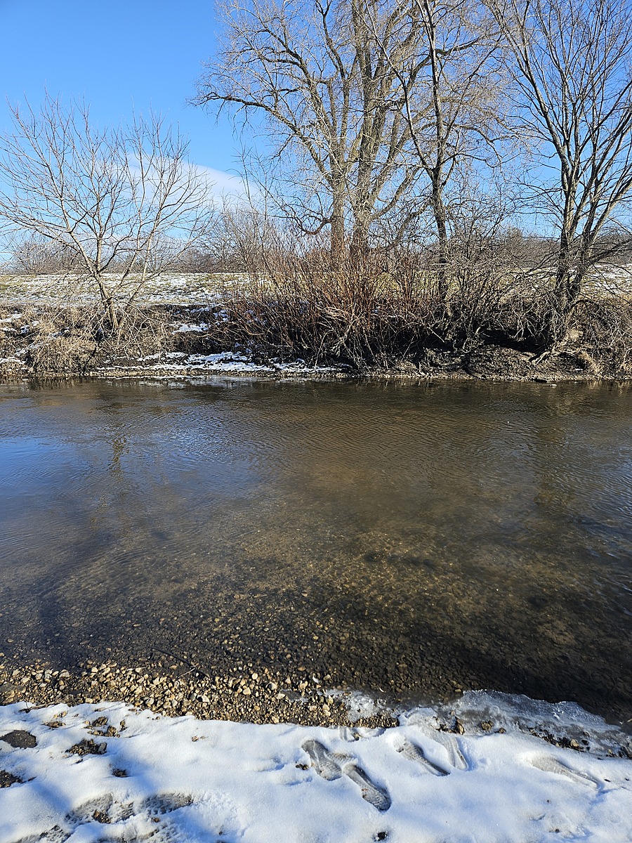 Observations at East Branch DuPage River - Water Rangers