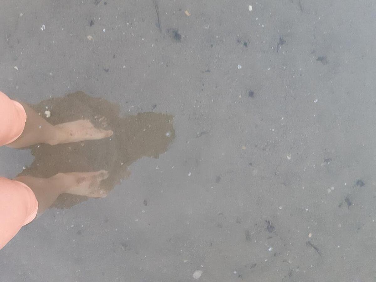 Water Quality Testing Data for Wasa, BC, Wasa Lake - Water Rangers