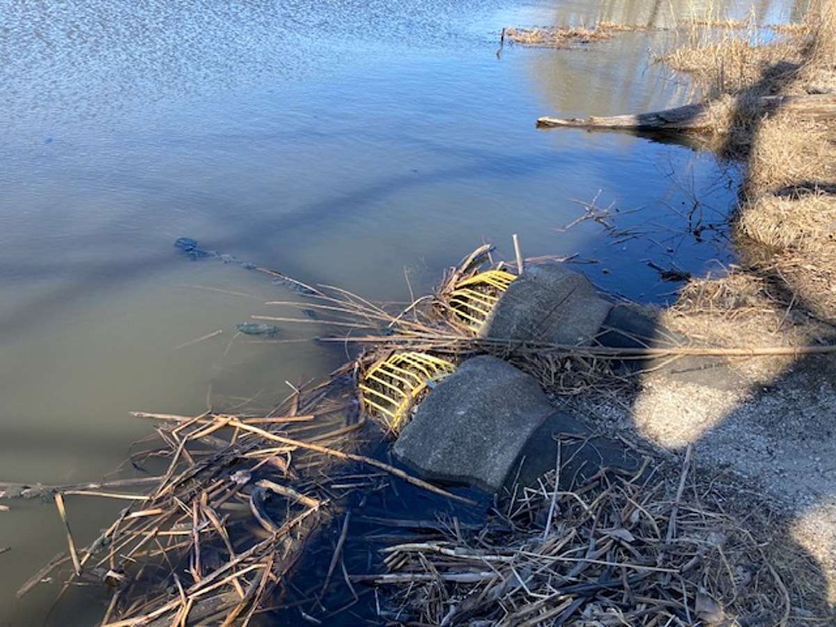 Water Quality Testing Data for Bayou Path Dr Stream in Atwater ...
