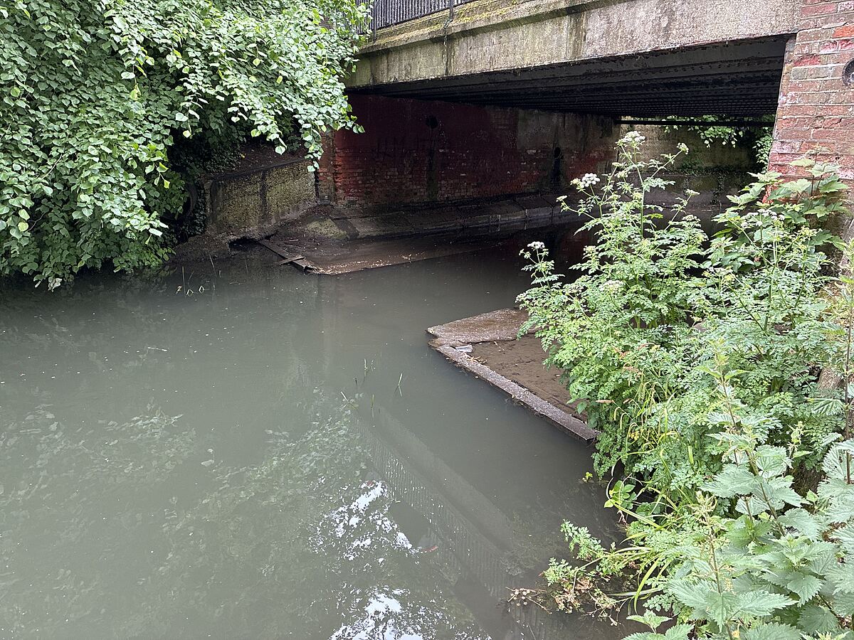 Water Quality Testing Data for South St Farnham, River Wey - Water Rangers