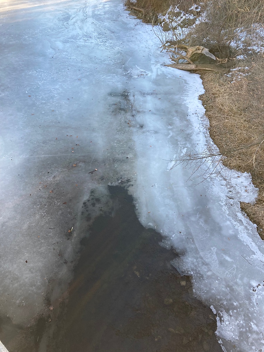 Water Quality Testing Data for West Branch of the DuPage River, DuPage ...