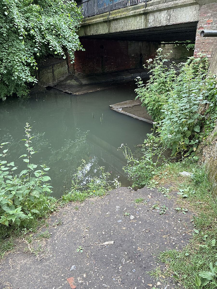 Water Quality Testing Data for South St Farnham, River Wey - Water Rangers