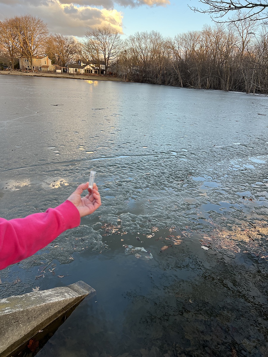 Water Quality Testing Data for Joe LeCroy, Old Grove Pond - Water Rangers