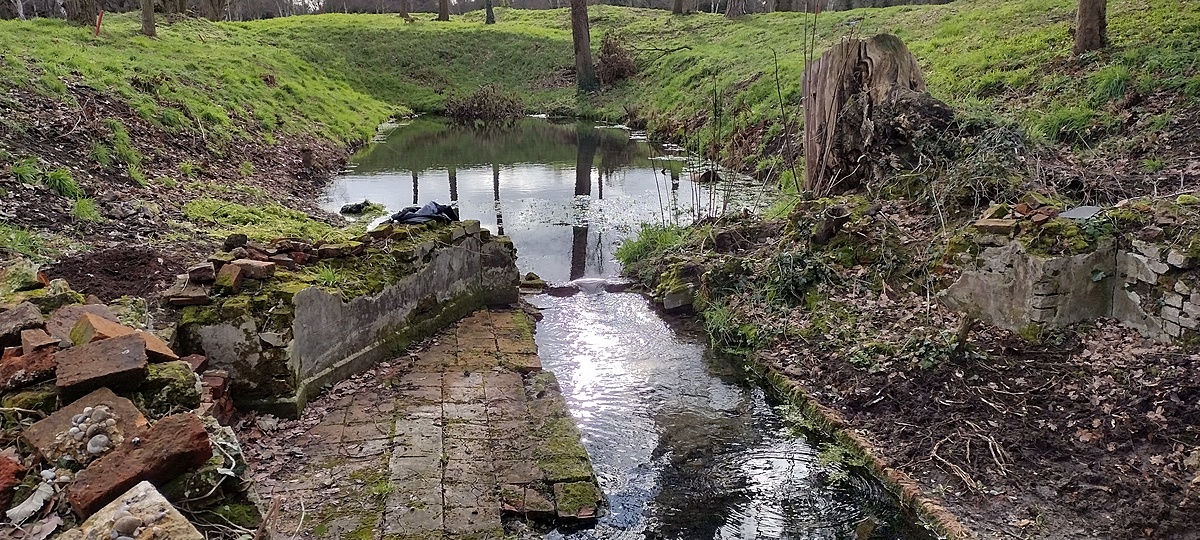 Water Quality Testing Data for Spring on the West side of Langley Park ...