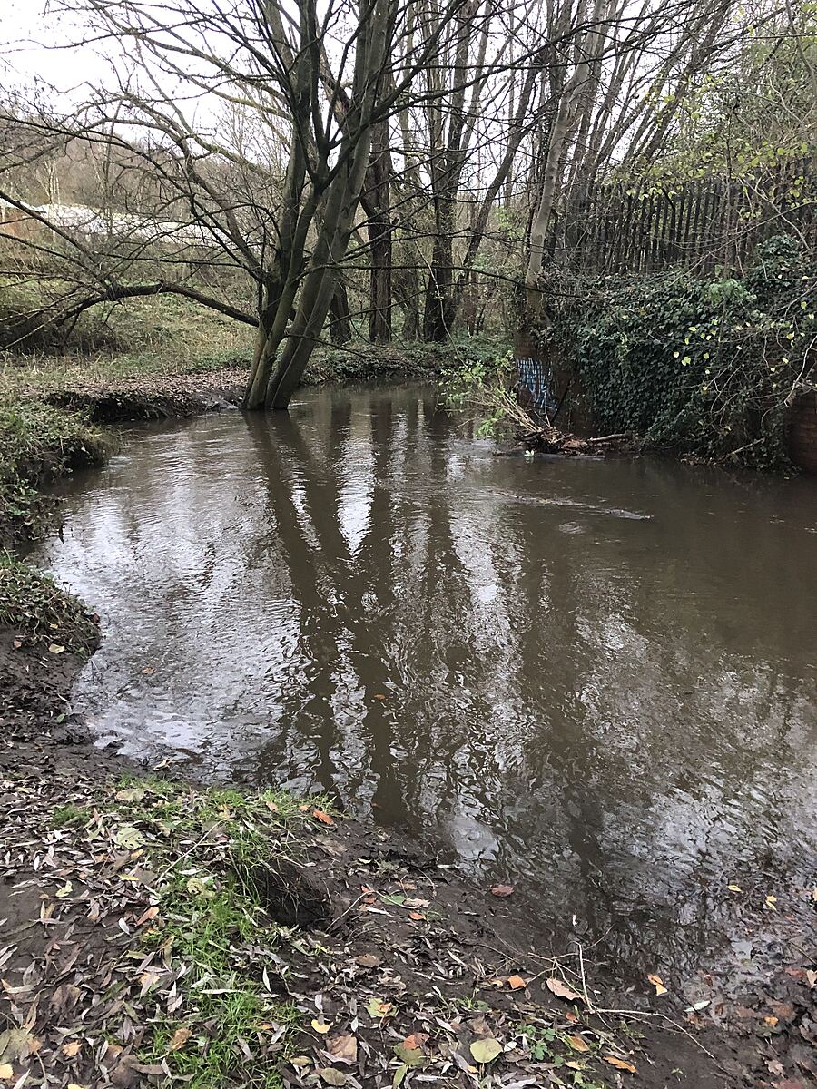 Water Quality Testing Data for C2, Meanwood beck - Water Rangers