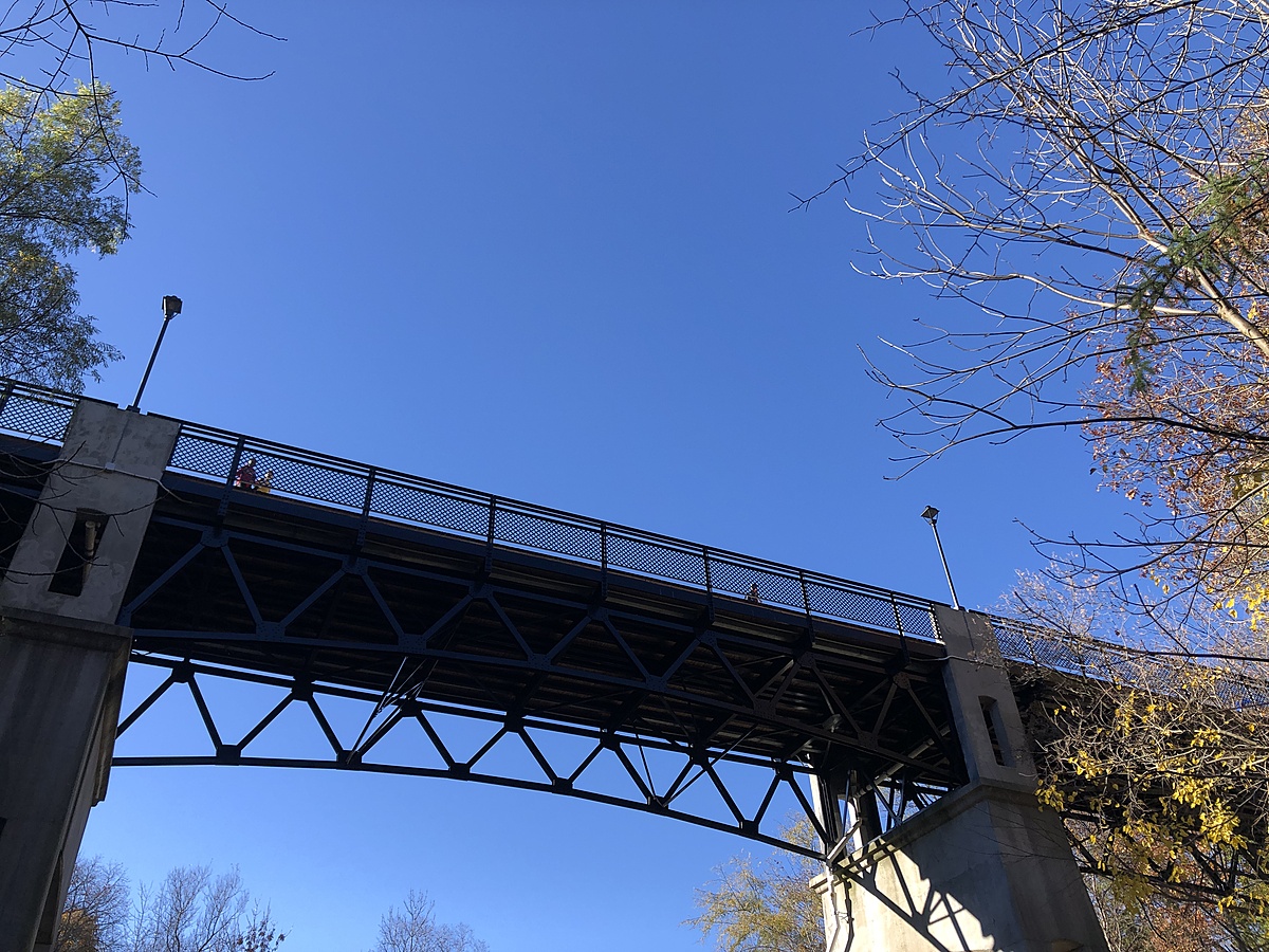 Observations at Cedarvale - Water Rangers