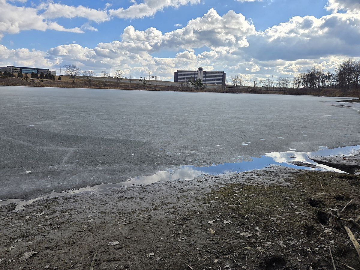 Water Quality Testing Data for Arbor Lake at Morton Arb , Arbor Lake ...