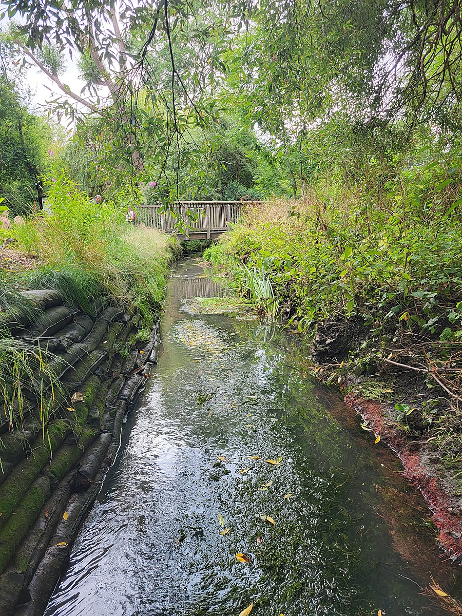 Water Quality Testing Data for Yeading Walk, Yeading Brook - Water Rangers