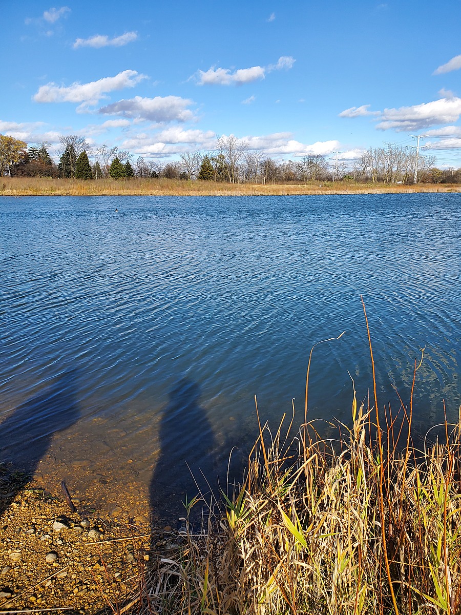 Water Quality Testing Data for Round Meadow Lake, Round Meadow Lake in ...