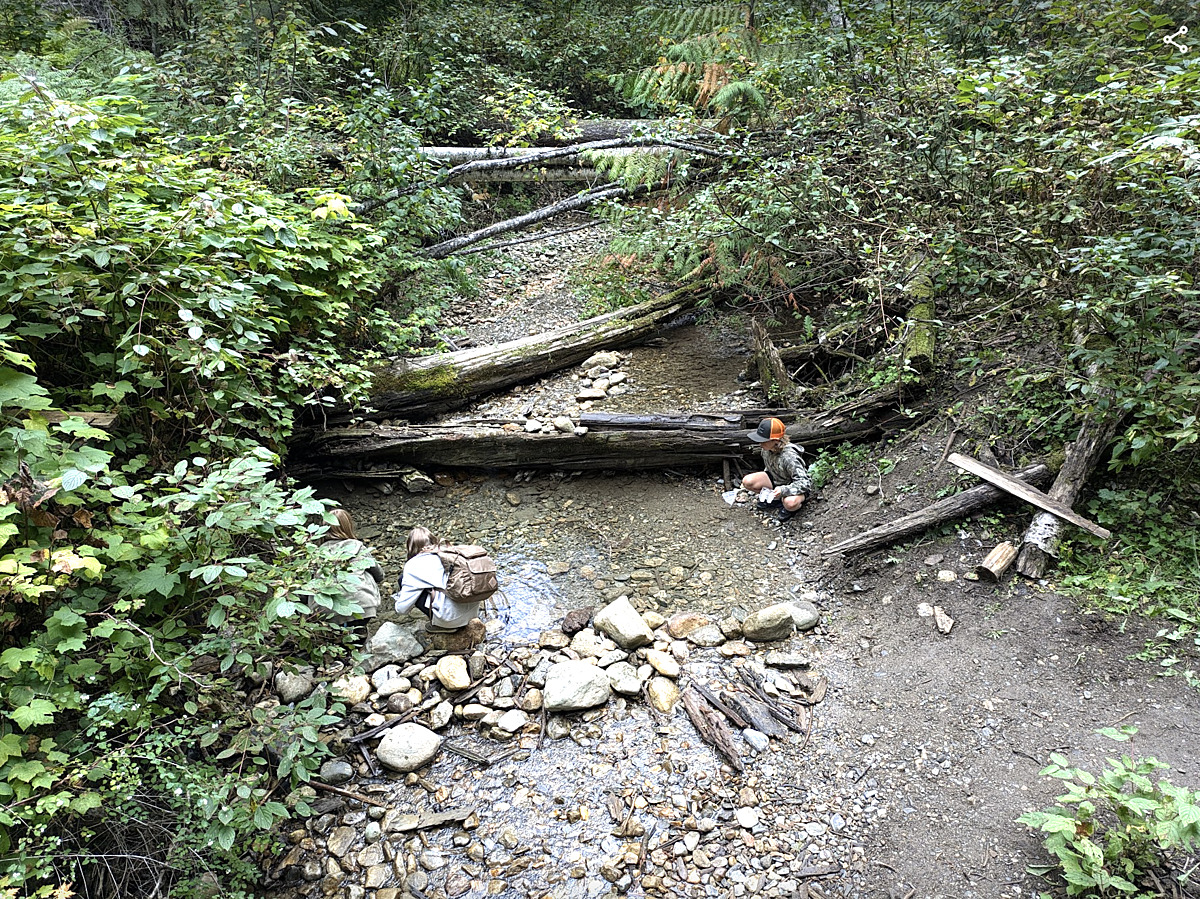 Water Quality Testing Data for Ida View bridge, East Canoe Creek ...