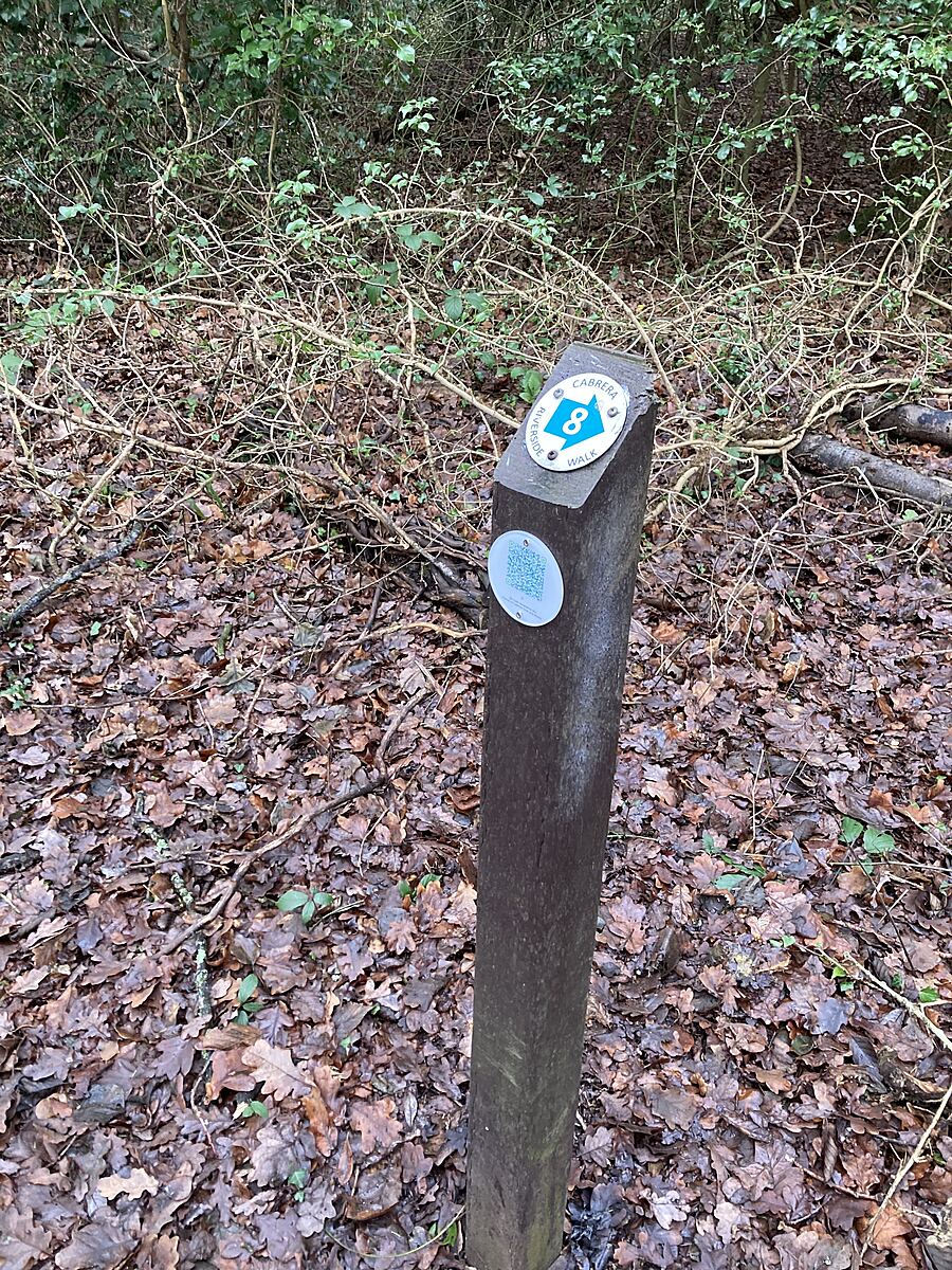 Water Quality Testing Data for Cabrera Riverside Walk, River Bourne ...