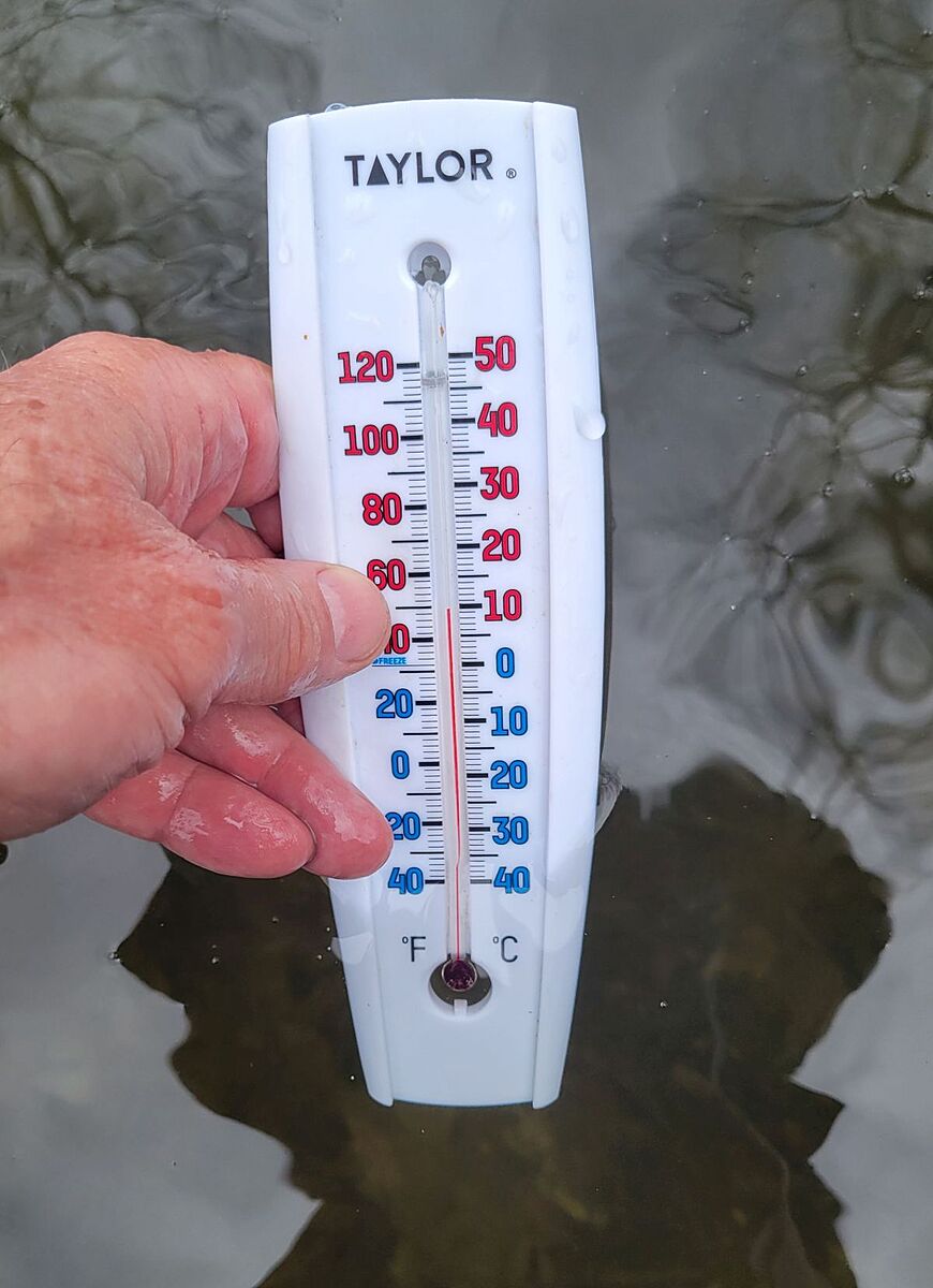 Water Quality Testing Data for Lake Killarney to Silver Lake Creek ...